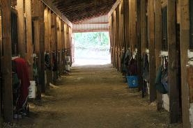 Hidden Ponds Stables